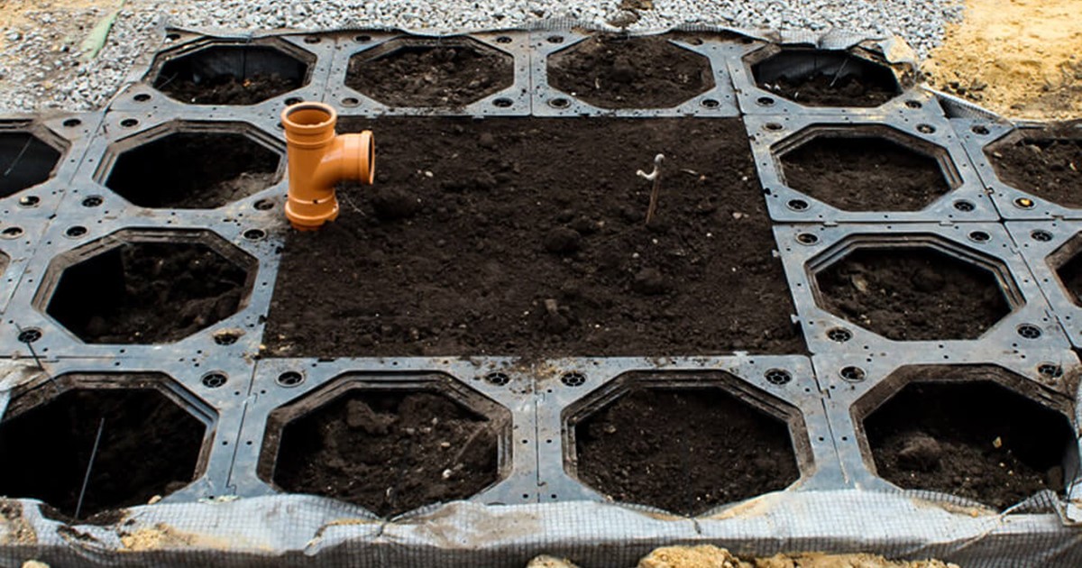Putting down roots: TreeBunker installation on site - Mackoy
